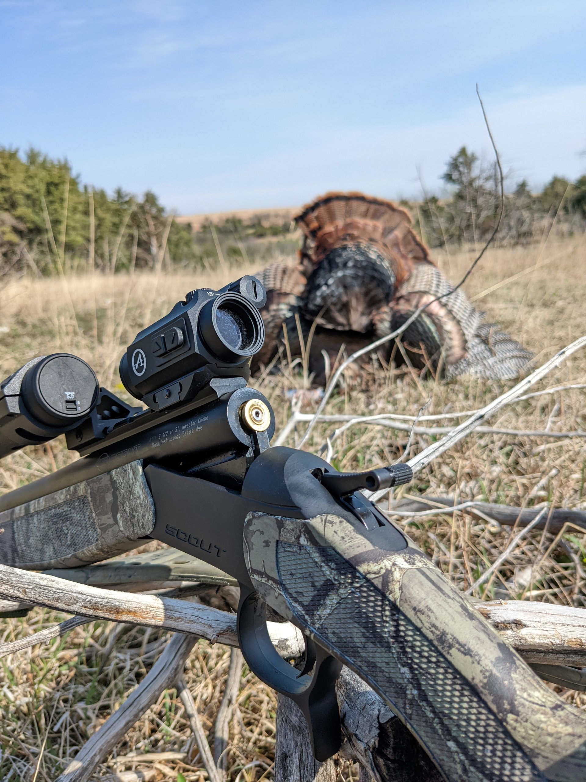 Getting Your Shotgun Ready for Turkey Season